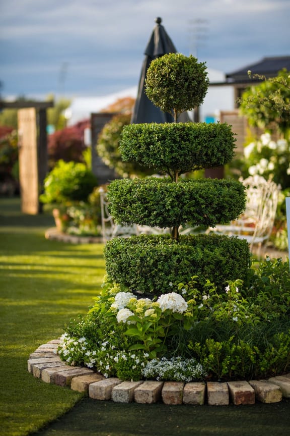 Kate Hillier on gardens | A Gallery from Afternoons | RNZ National