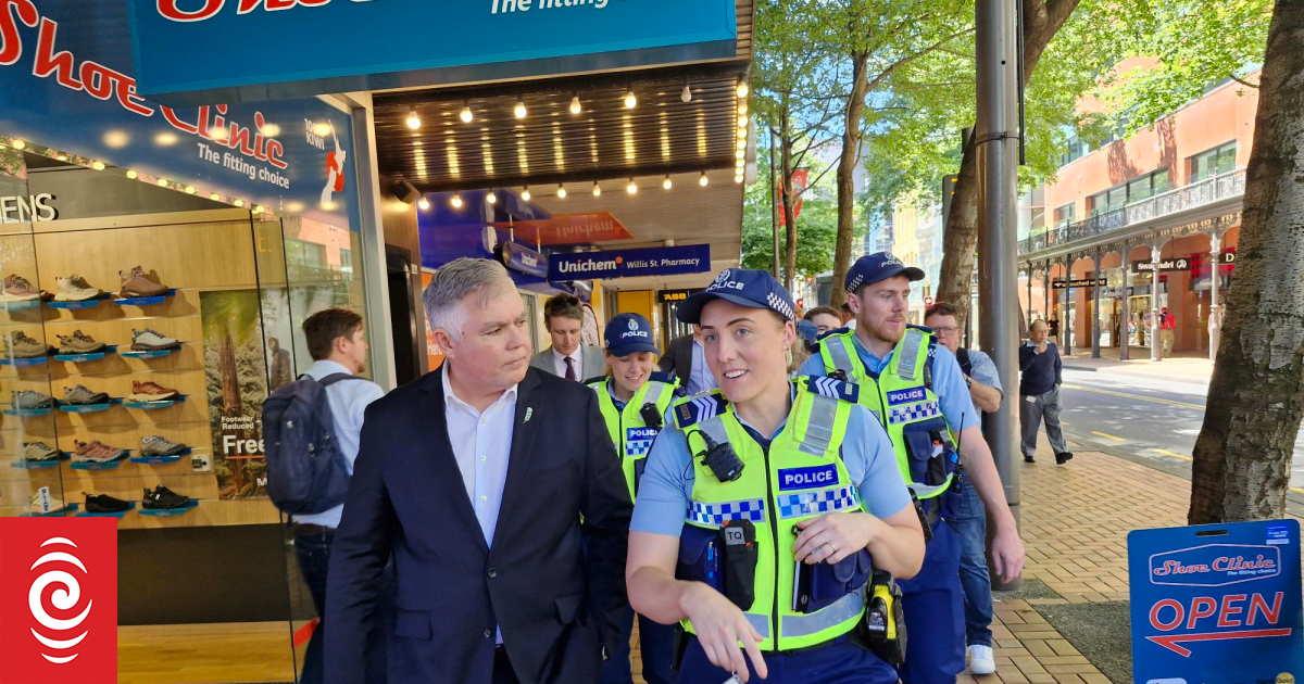 This past year saw policing get 'back to basics' - Minister Mark ...