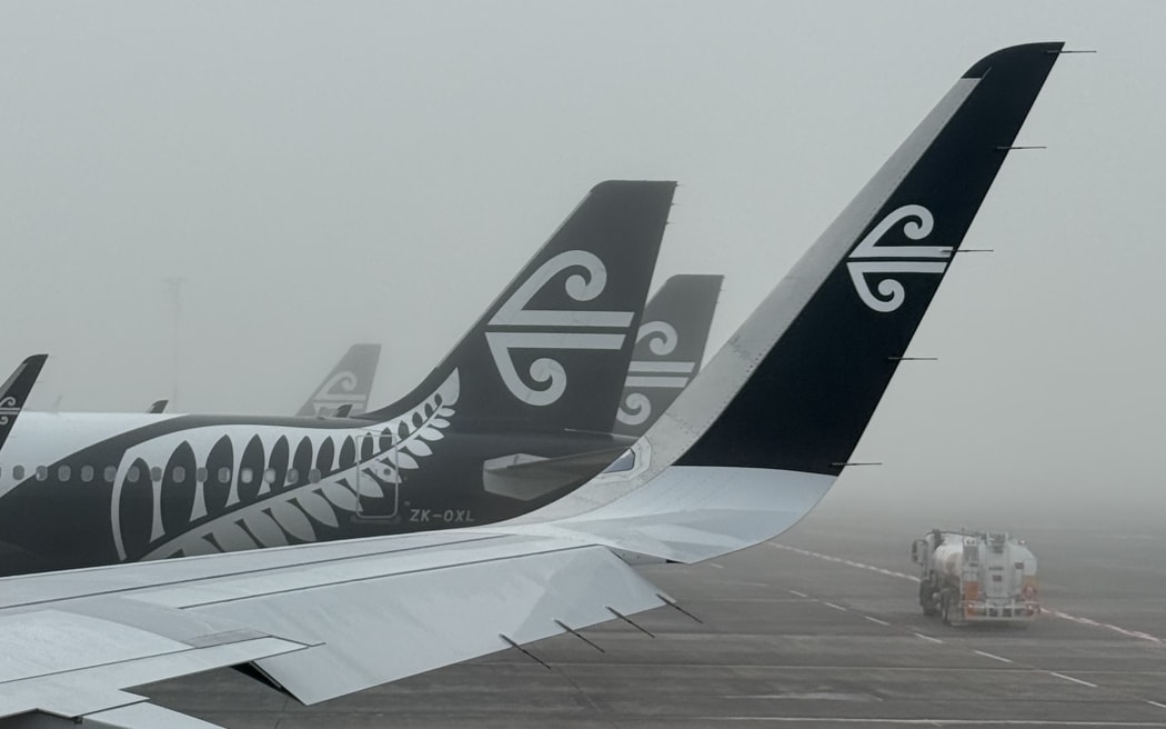 Heavy rain, strong wind watches following fog disruption | RNZ News