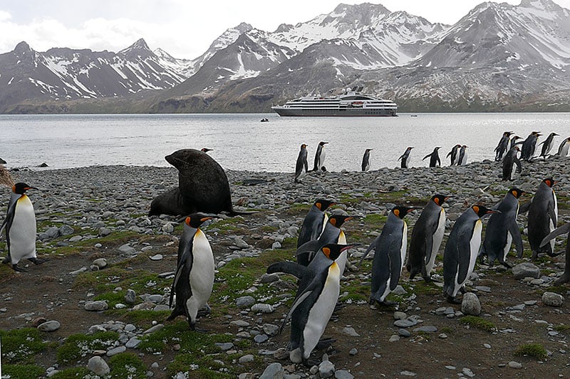 Greetings from the Southern Ocean | A Gallery from Nine To Noon | RNZ ...