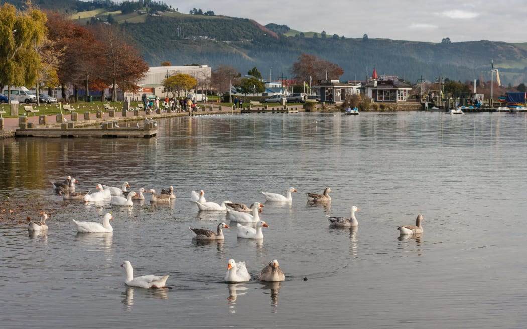 Stormwater problems likely with Lake Rotorua at highest in five years ...