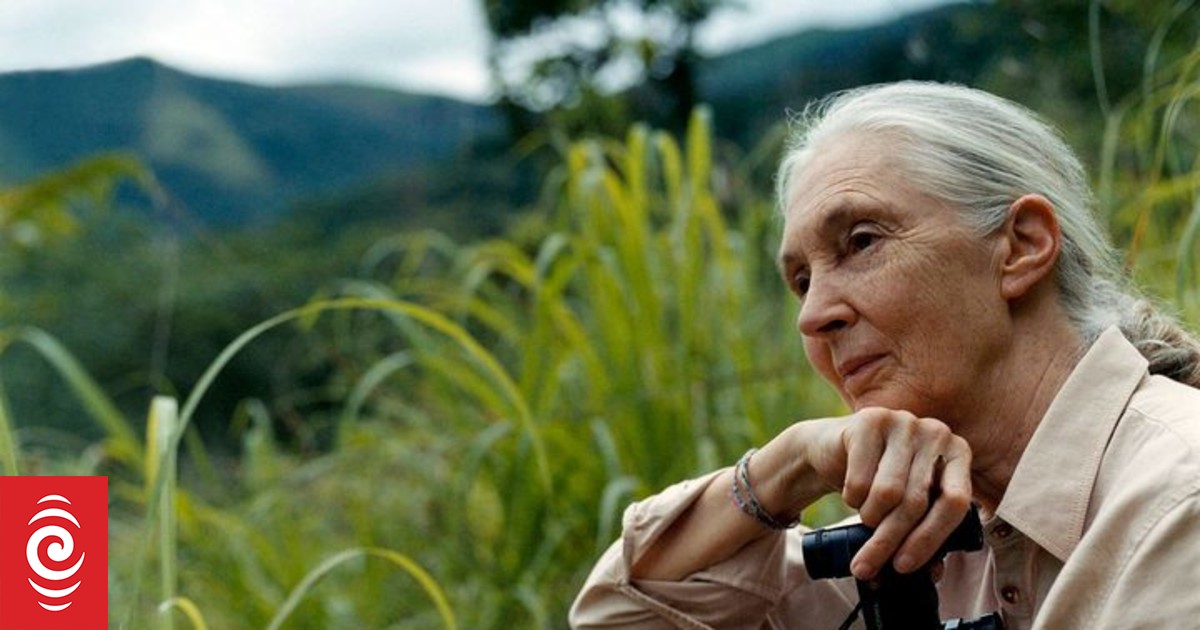 Conservation pioneer Dame Jane Goodall remembered as 'incredible human ...