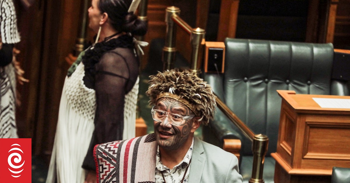 Nationwide protests mark swearing in of 54th parliament | RNZ