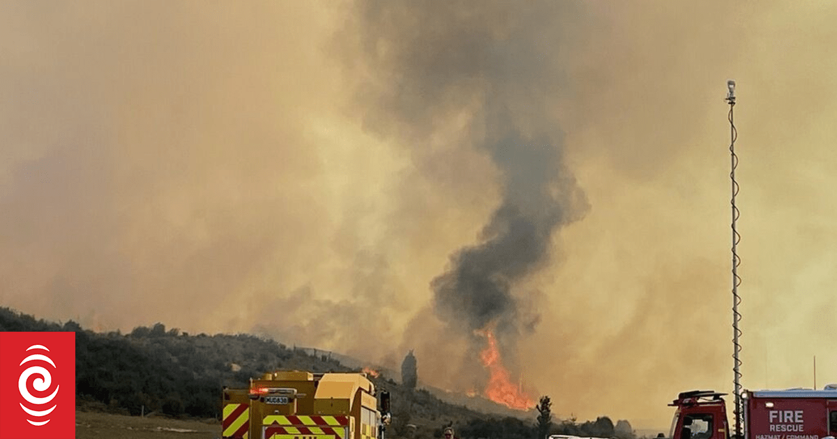 Bridge Hill fire lessened by wilding pine control, says Canterbury ...