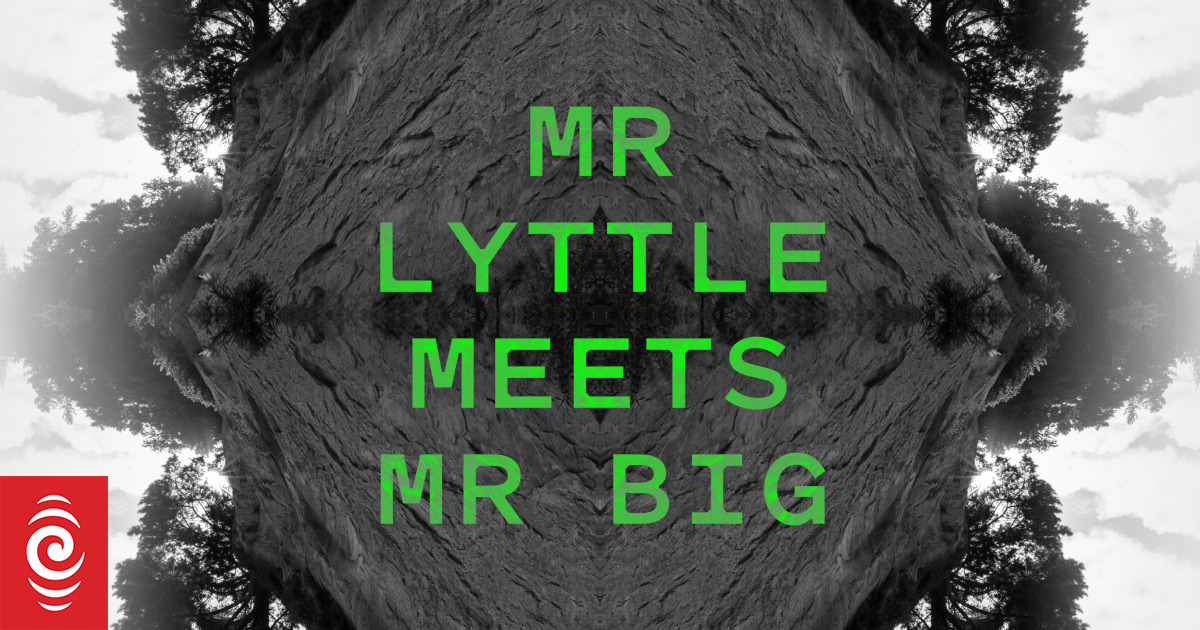 A closer look: Top 10 police disclosure failures | RNZ