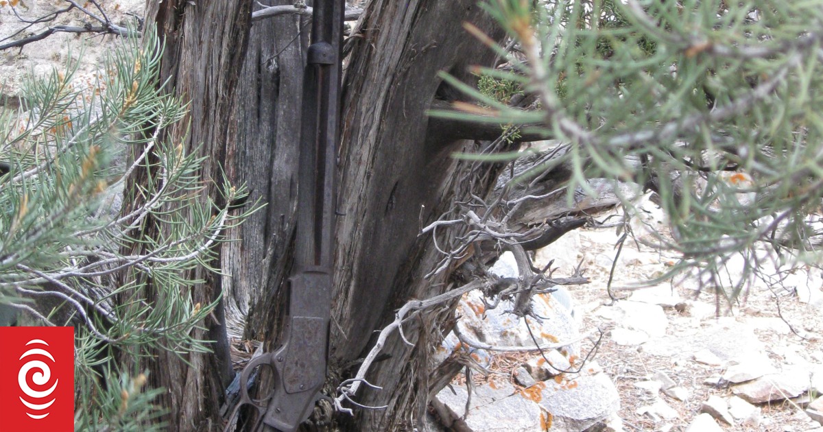 130-year-old gun found in US national park | RNZ News