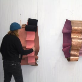 Sculptor Louise McRae shows how animals adapt to climate change | RNZ