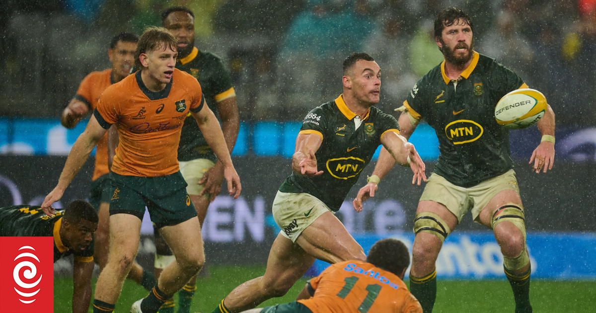 Joe Schmidt can make Wallabies competitive against Lions, says Rassie ...