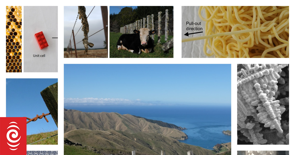 Common materials which have shaped technological development | RNZ