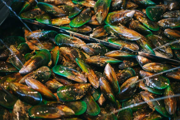 Raw shucking: musseling in on Marlborough | RNZ