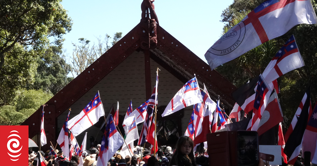 Regional fund grants $20m to Waitangi and Rātana grounds | RNZ News
