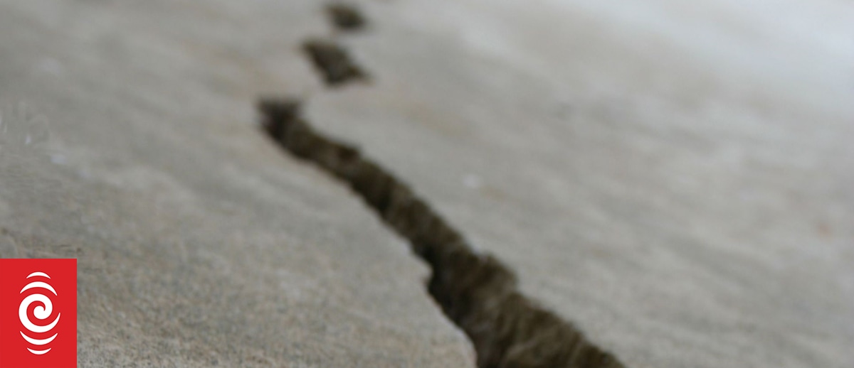 Hawke's Bay shell carbon dating hoped to reveal earthquake timelines ...