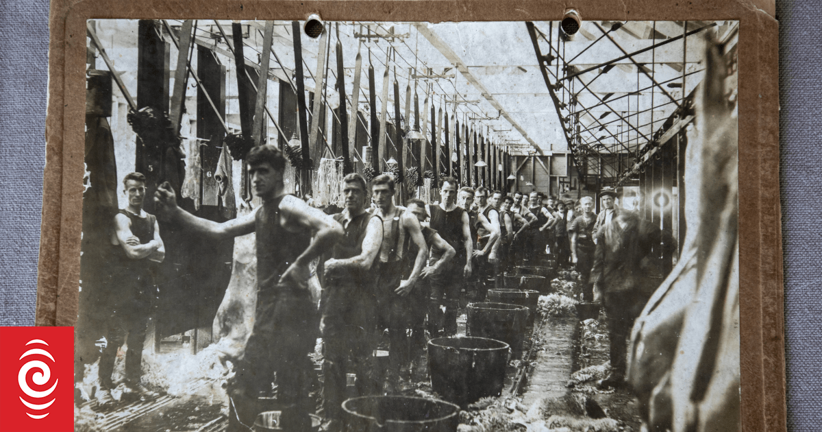 Alliance group Smithfield plant in Timaru shuts its doors after 138 ...