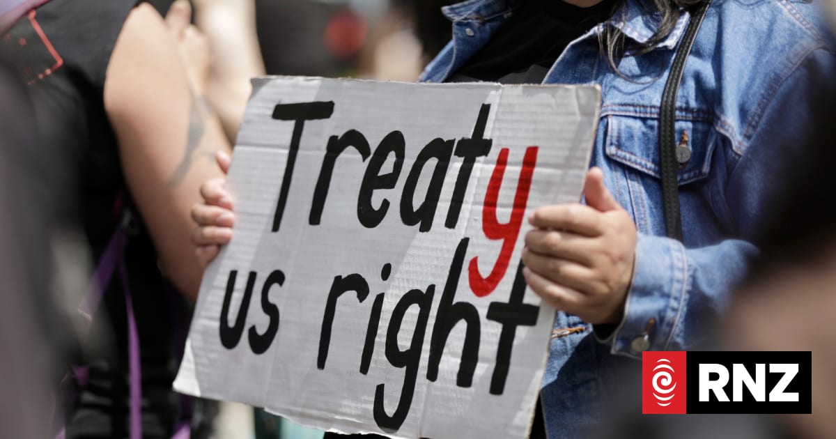 Descendants of Treaty of Waitangi translators speak out against bill | RNZ