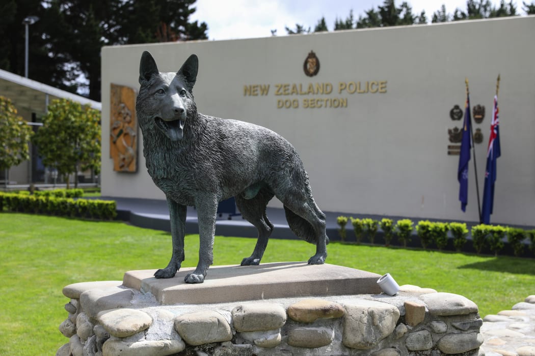 New police dogs take the lead out on NZ streets | RNZ News
