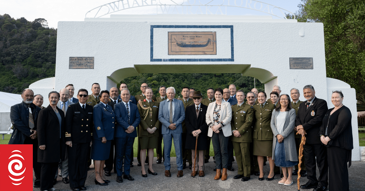 Waitangi Tribunal's Veterans Inquiry reaches milestone | RNZ News