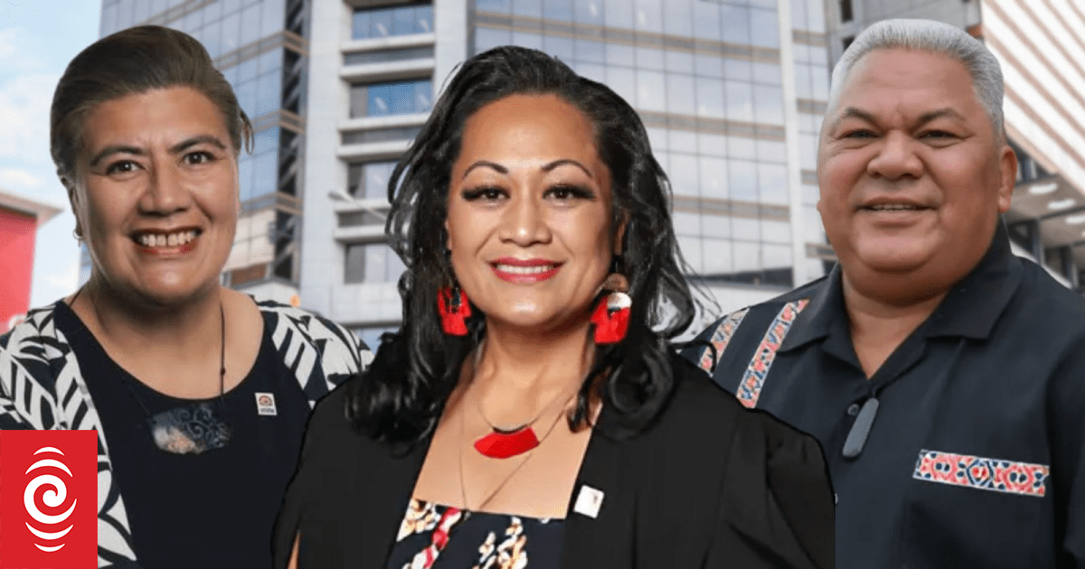 Councillors condemn removal of 'wellbeing' in local decisions | RNZ News