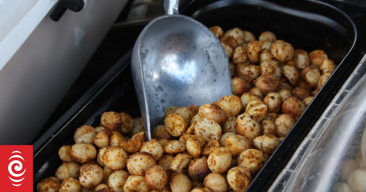 Kiwi health food science supporter in limbo after funding expires | RNZ