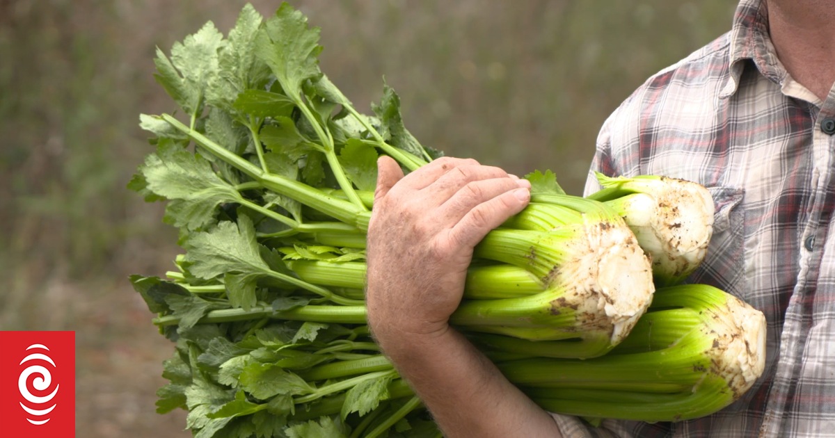 Fruit and Vege Report with Glenn Forsyth | RNZ