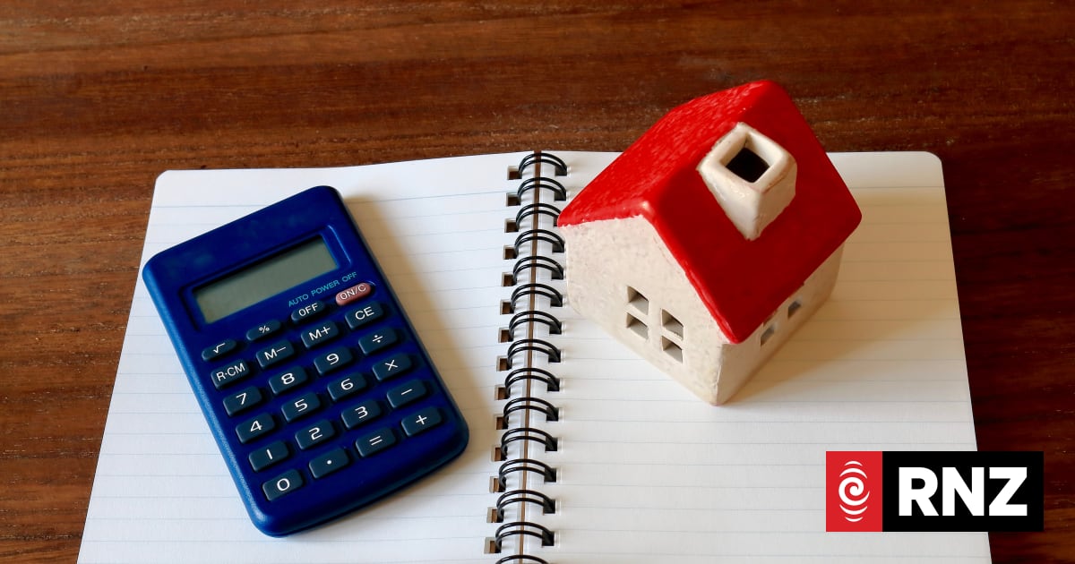 Interest rate cap not enough to stop 'debt spiral' | RNZ