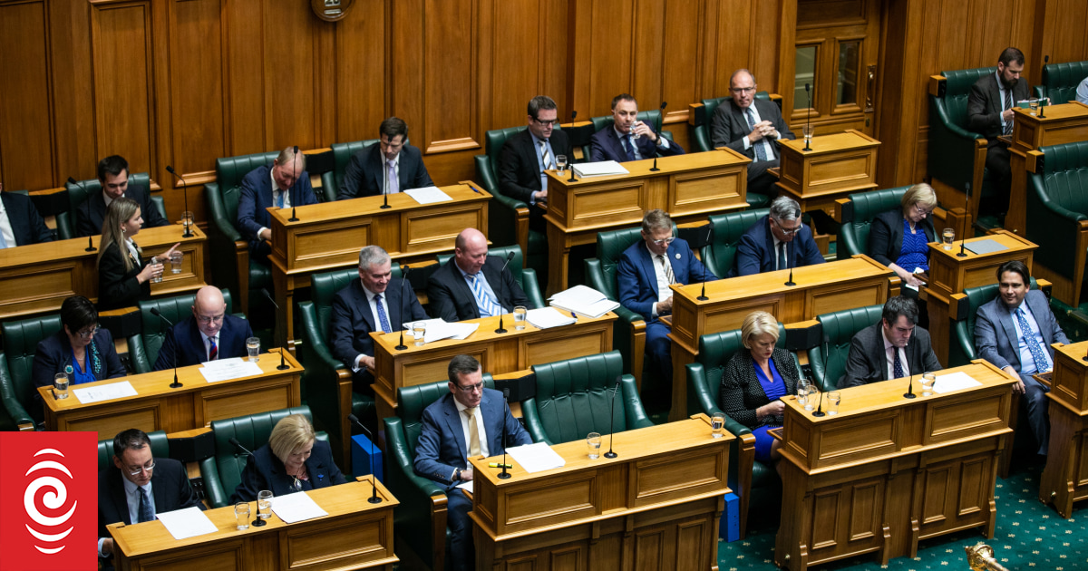 Political commentators Neale Jones & Ben Thomas | RNZ