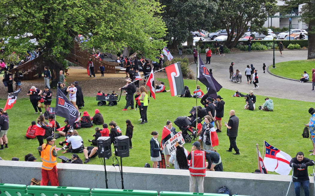 Hīkoi mō Te Tiriti: The final day march to Parliament in photos | RNZ News