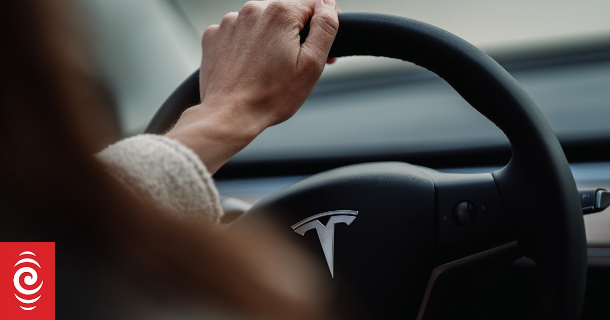 Tesla adds chill and assertive self-driving modes | RNZ News