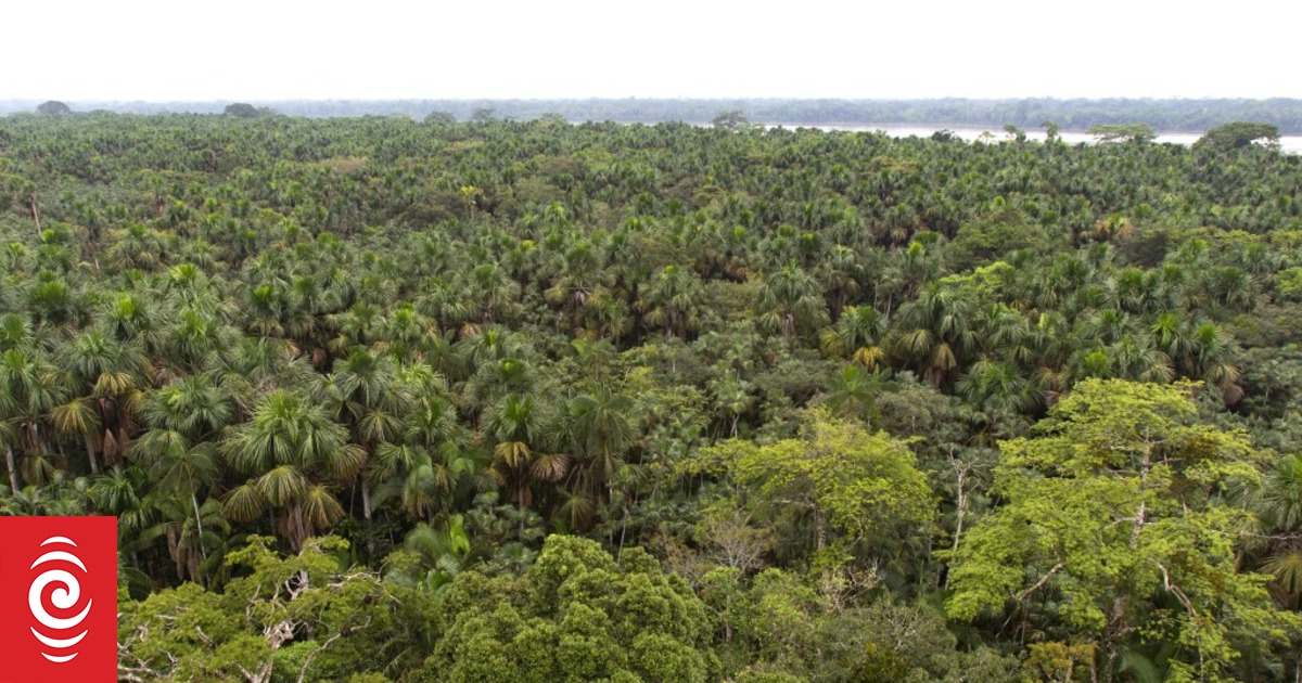 Huge ancient lost city found in the Amazon | RNZ News