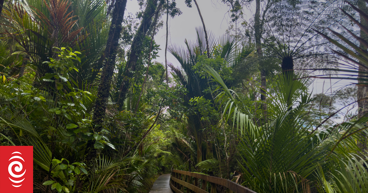 'Historic day': Auckland Council vote to pass Waitākere Ranges deed ...