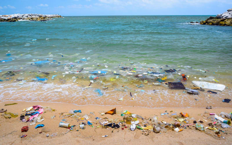 NZ needs to ban single-use plastics - environmentalist | RNZ