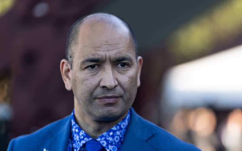 'Cremate and bury it': National's Tama Potaka on Treaty Principles Bill ...