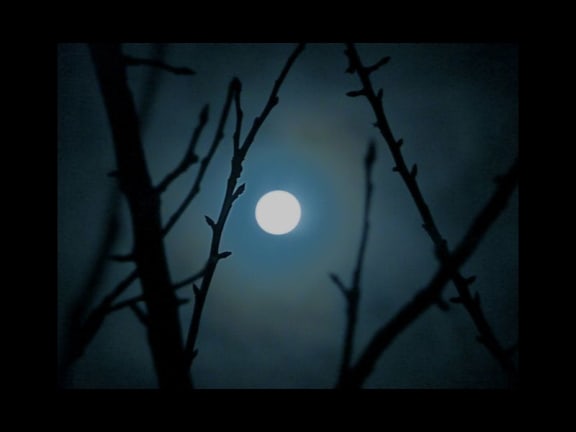 Moon Over Martinborough | A Gallery from Country Life | RNZ National