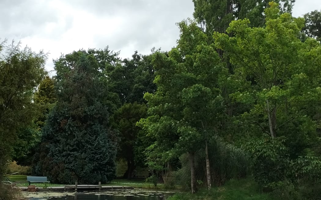 Summertime and the listening is easy. | RNZ