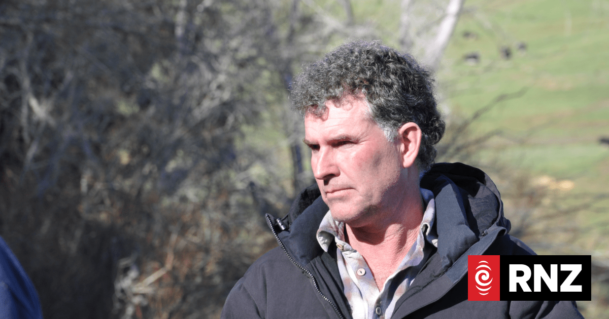 Tasman district councillor criticised for attending 73 meetings online ...