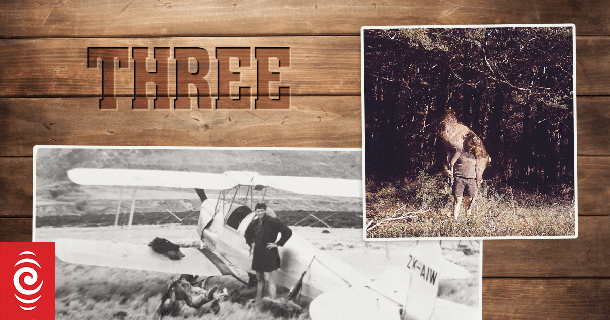 E03: Shape Up Or Ship Out | RNZ