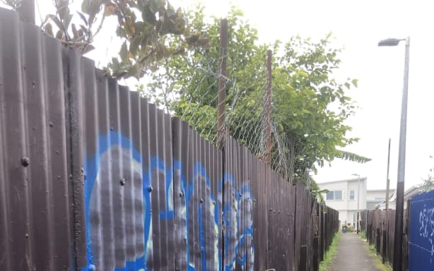 Upgrade of 'dark, dingy' alleyway brings relief to residents | RNZ