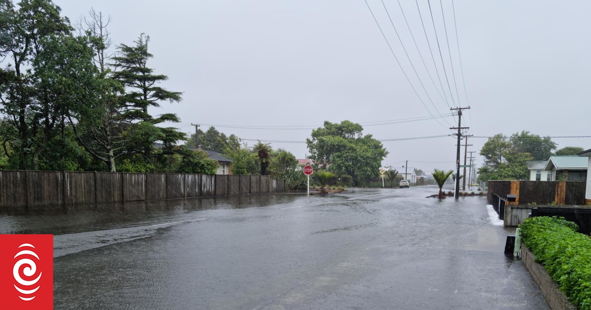 The Pre-Panel with Nuwanthie Samarakone and David Slack | RNZ