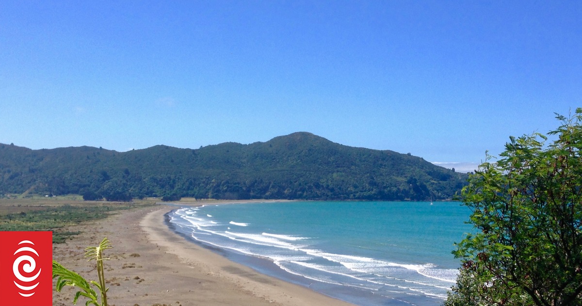 Missing diver found dead | RNZ News