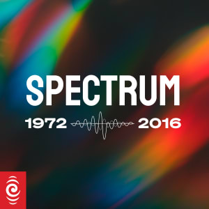 Paddy Burgin Luthier | RNZ