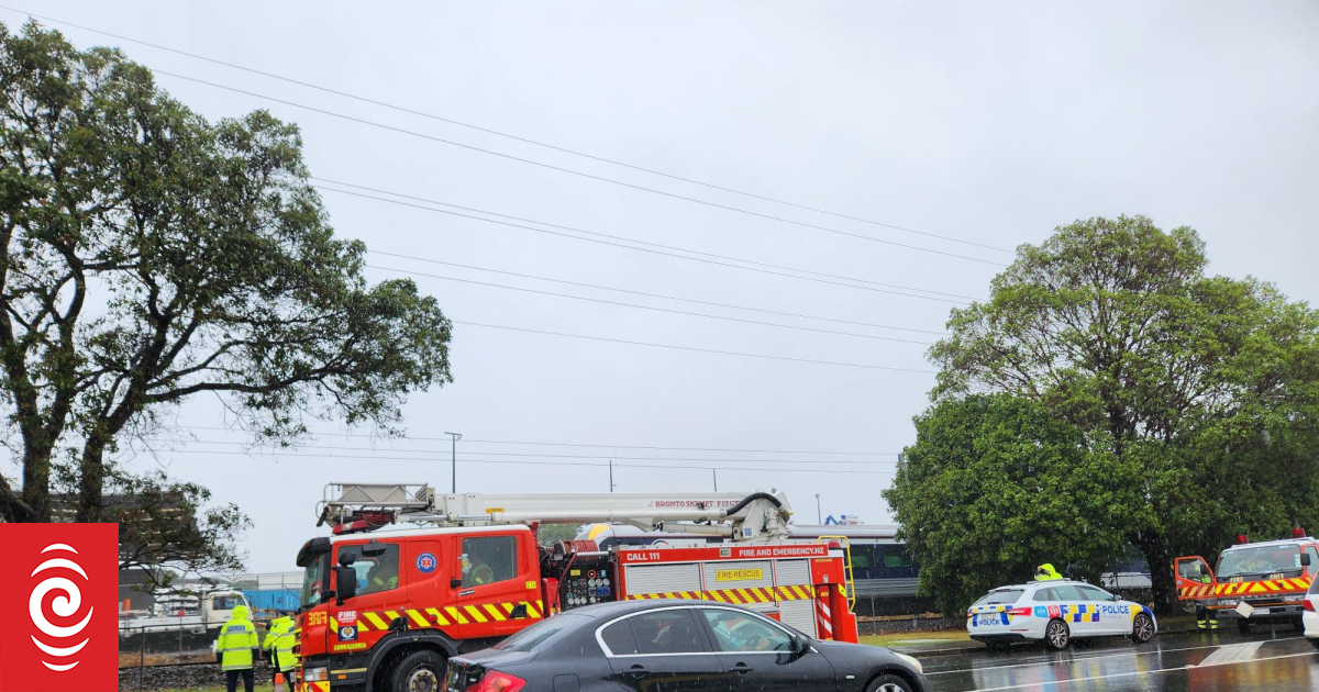 Victim in Auckland train crash named | RNZ News