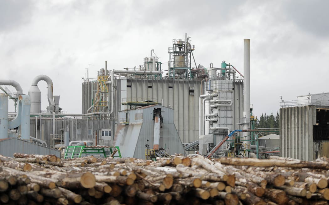 Wood processors exposed to high spot pricing before closure - report ...