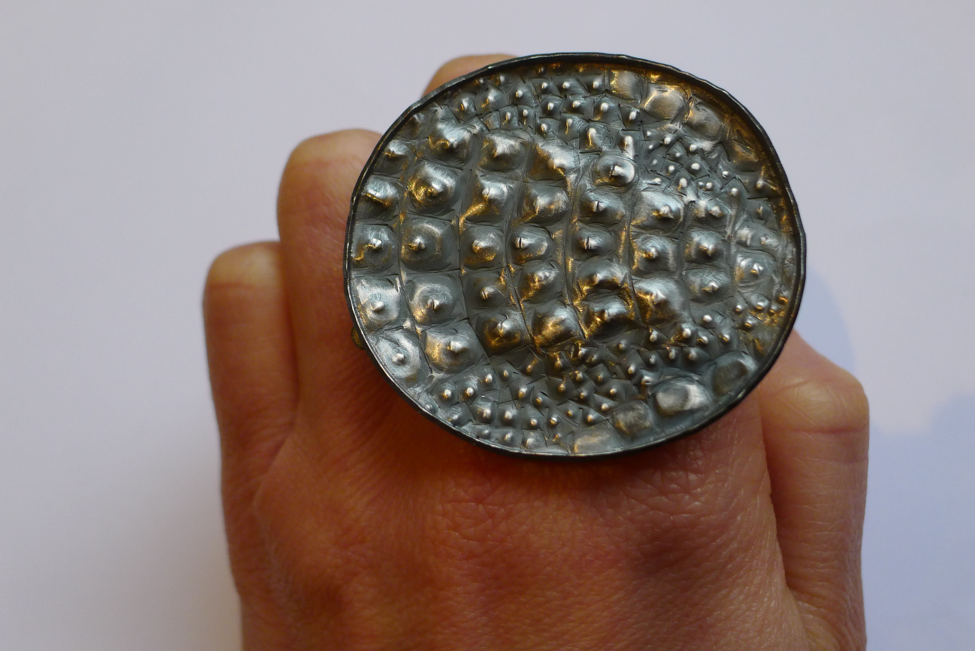 Megan Dunn on art: looking at crocodiles | RNZ