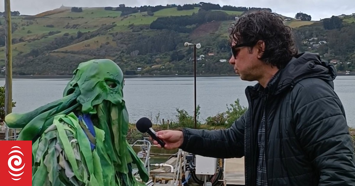 Toby Manhire: reporting in from the local body campaign trail | RNZ