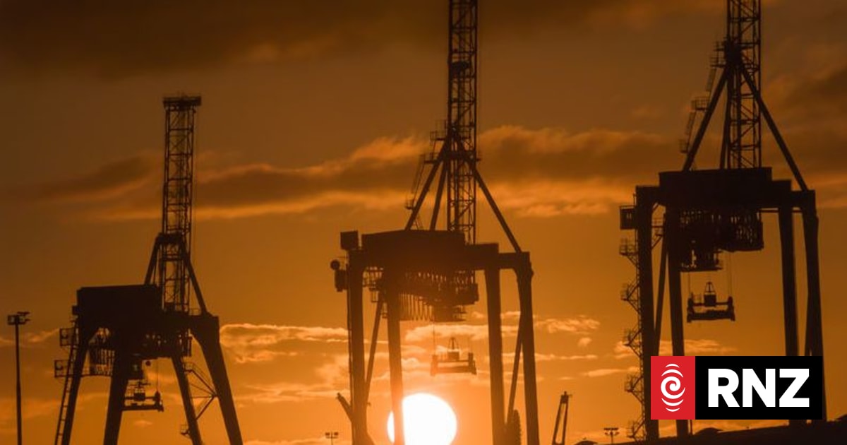 Port of Tauranga first half profit eases | RNZ