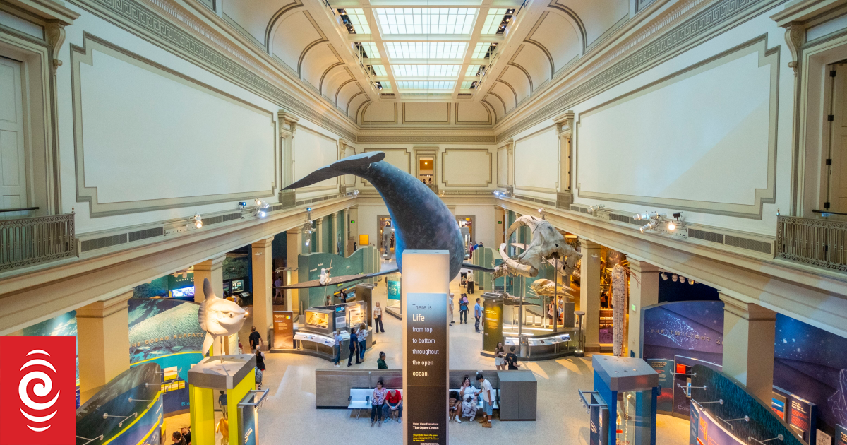 White House orders review of Smithsonian museums and exhibits to ensure ...