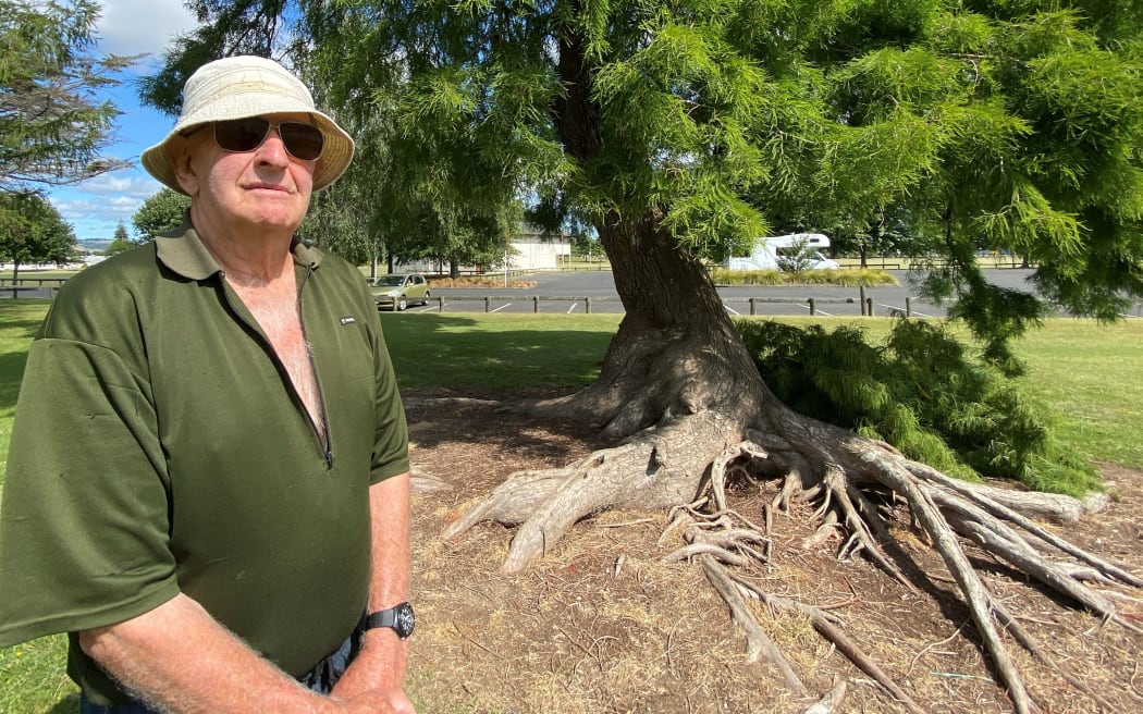 'I’m concerned about this killing someone': Tree near playground sparks ...
