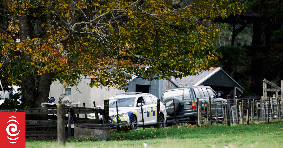 Injuries from ram attack like being hit by a car - animal expert | RNZ News