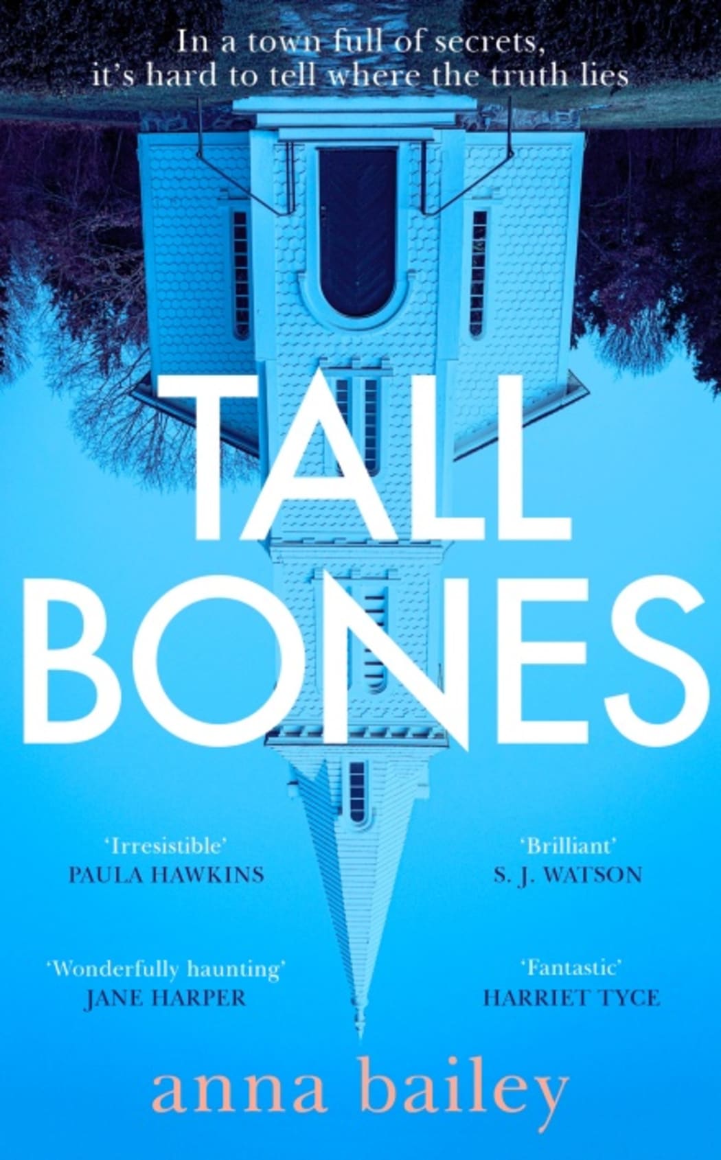 Book review: Tall Bones by Anna Bailey | RNZ