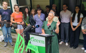 Green Party co-leader Marama Davidson apologises for speeding | RNZ News