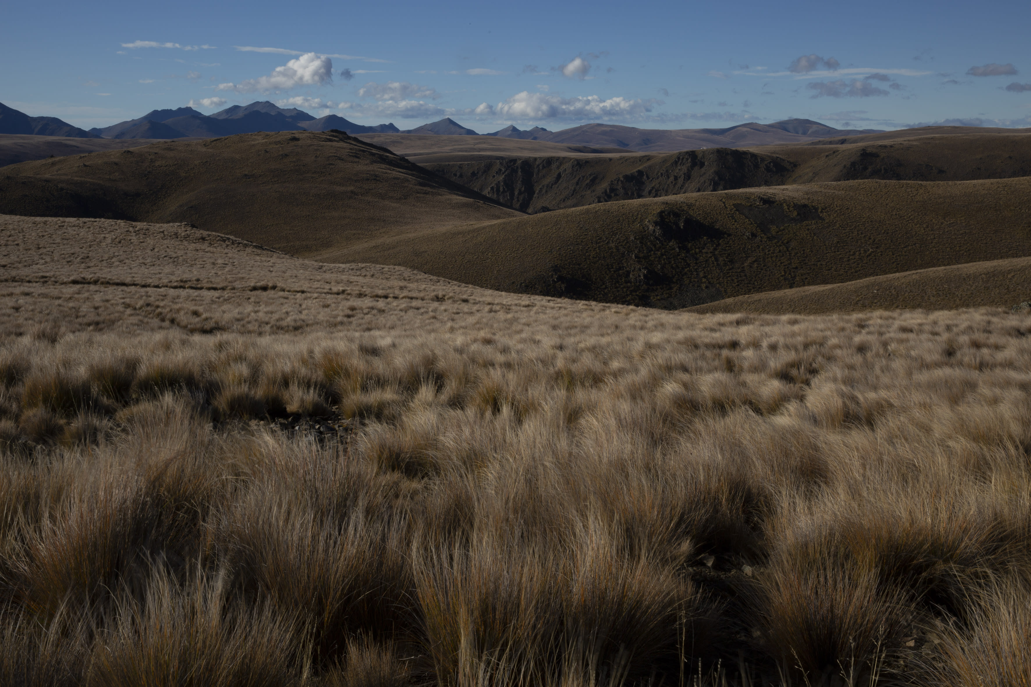 Winter warmers from a High Country cook | A Gallery from Nine To Noon ...